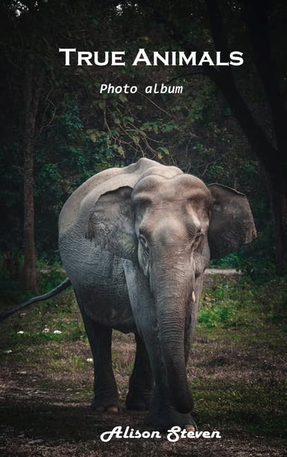 True Animals: Photo album, (Hardcover) - Walmart.com
