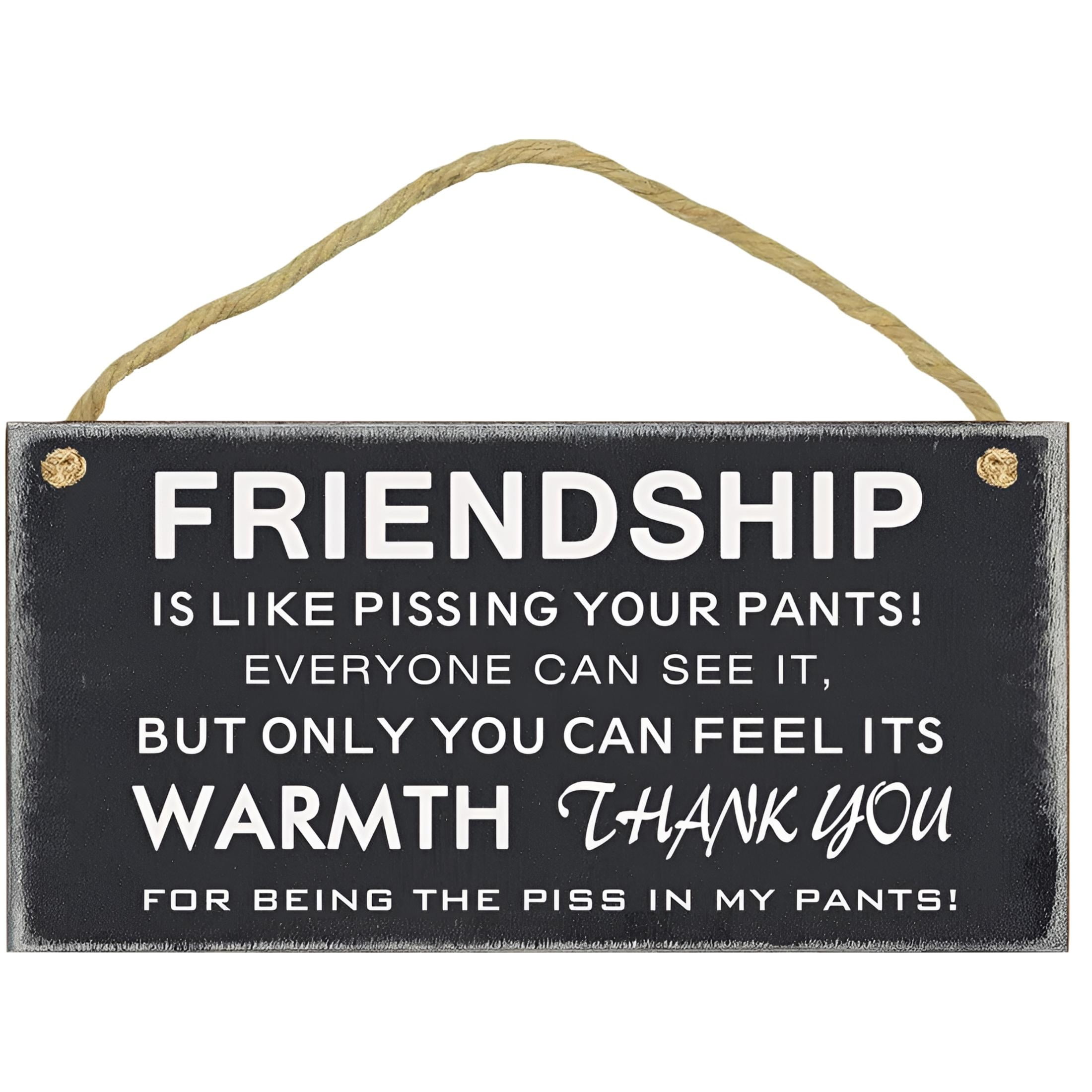 True Friendship Sign - Rustic Wood Hanging Plaque 5x10, Funny Gift for ...