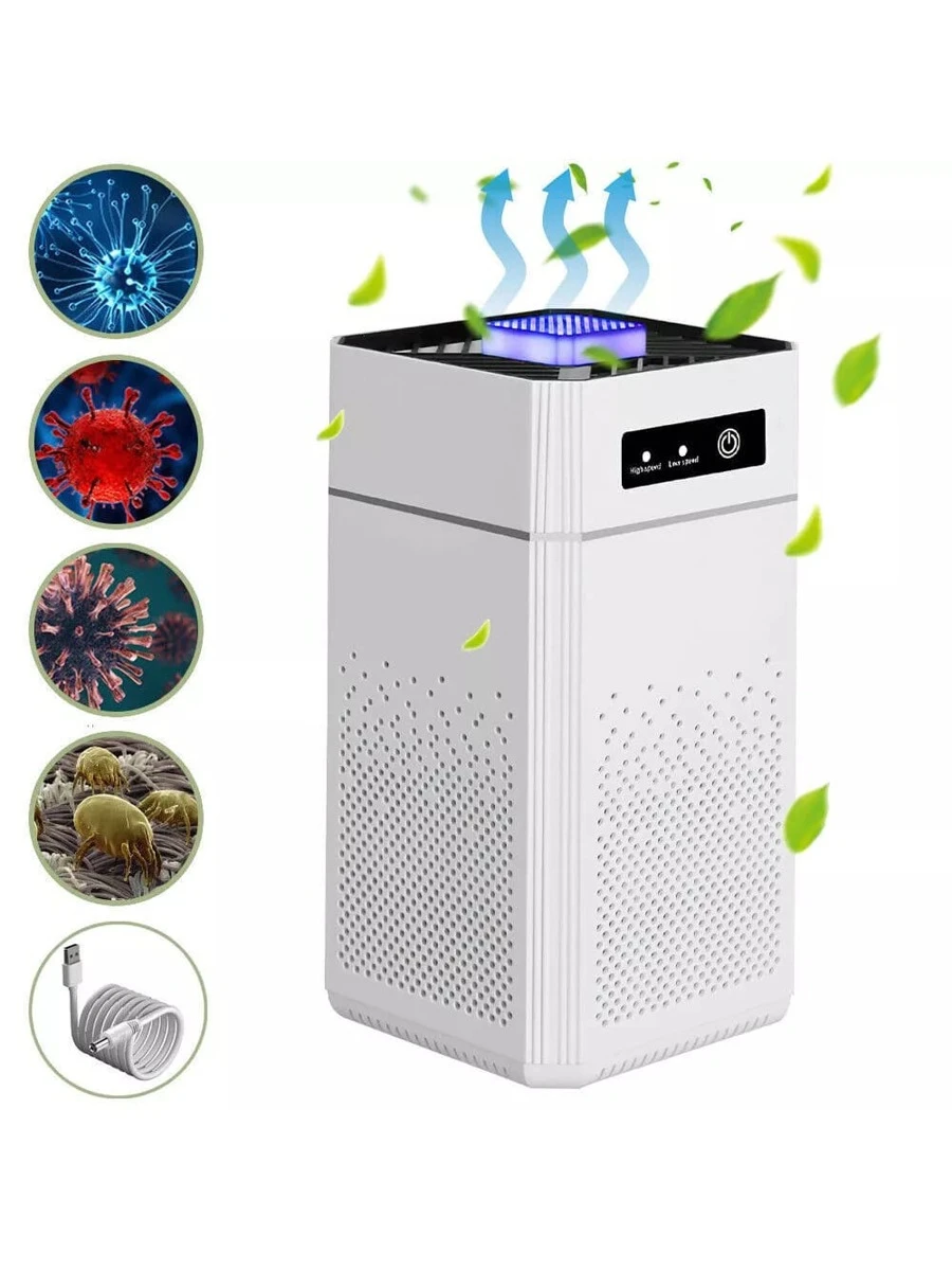 True HEPA Air Purifier for Large Room, Allergies, Smoke, Pet Dander ...