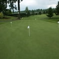 Outsidepride 10 lb. Perennial Shade Tolerant Creeping Bluegrass for ...