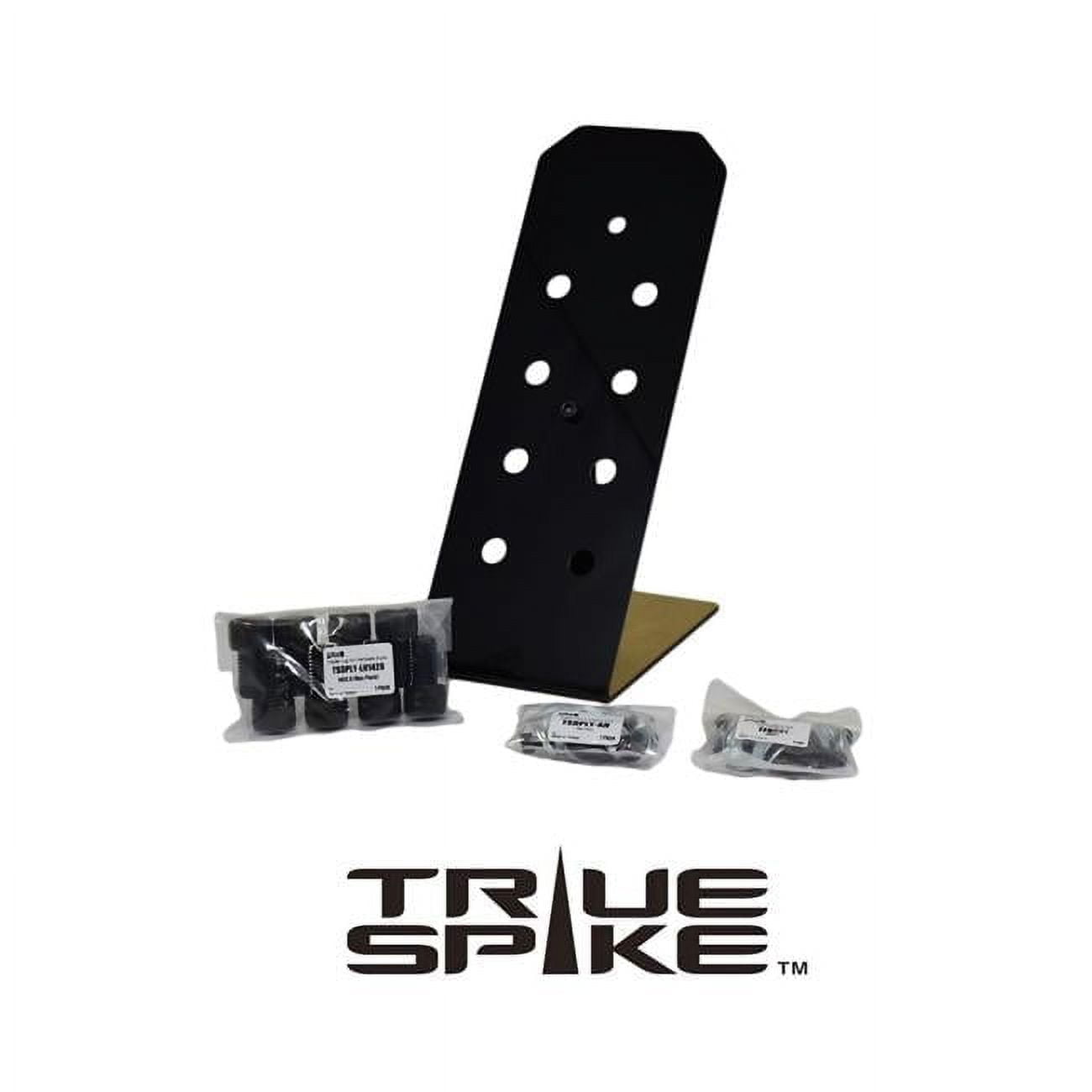 True Spike TSDPLYKIT True Spike Lug Nut Antenna Valve, Silver - Walmart.com