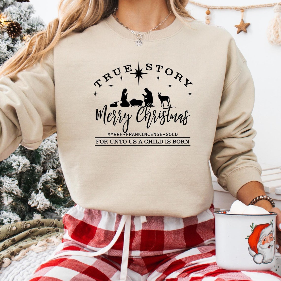 True Story Merry Christmas, Christian Christmas, True Story, Christmas ...