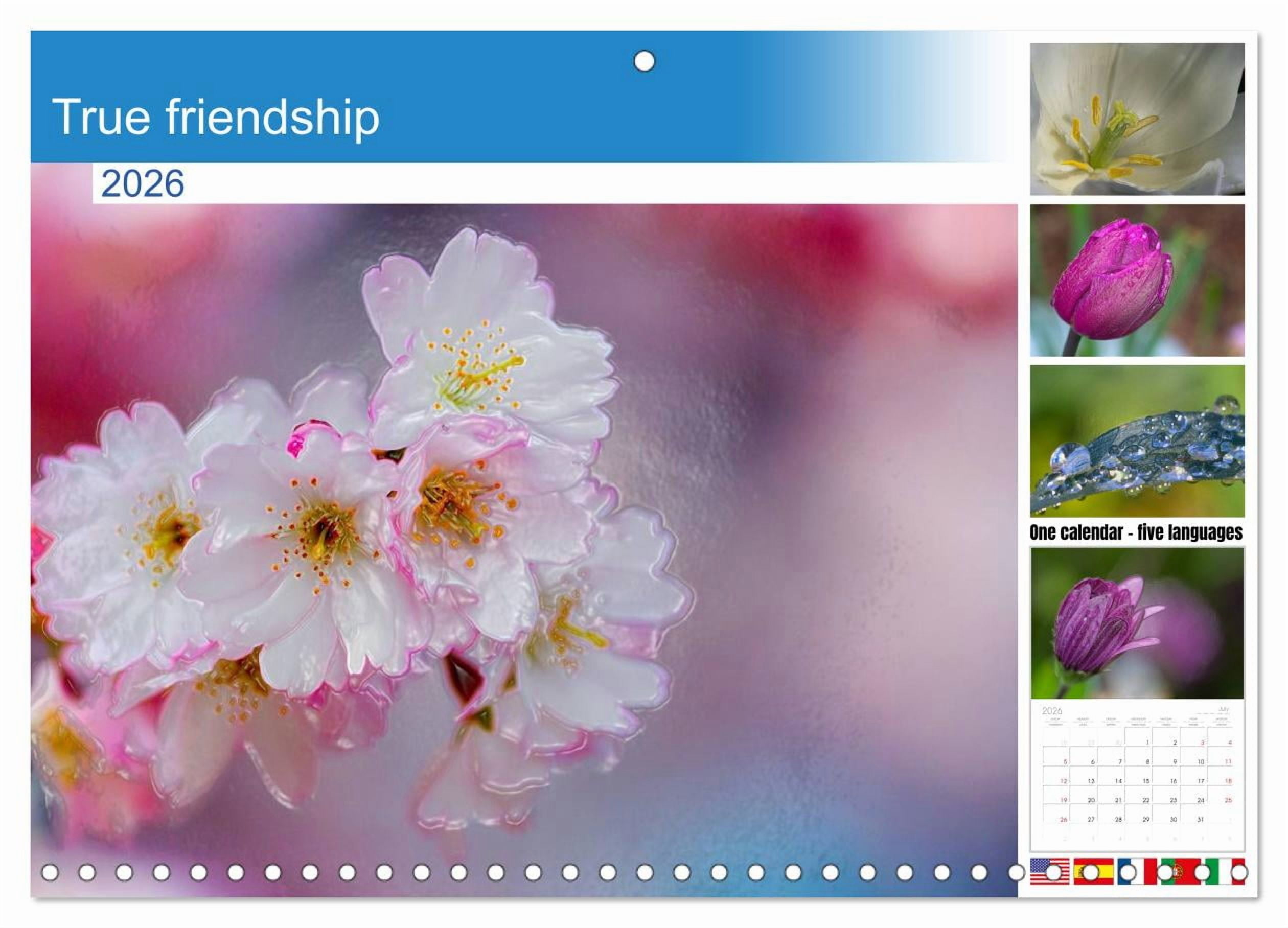 True friendship (Monthly Wall Calendar 2026 11.7 x 16.5 (open ...