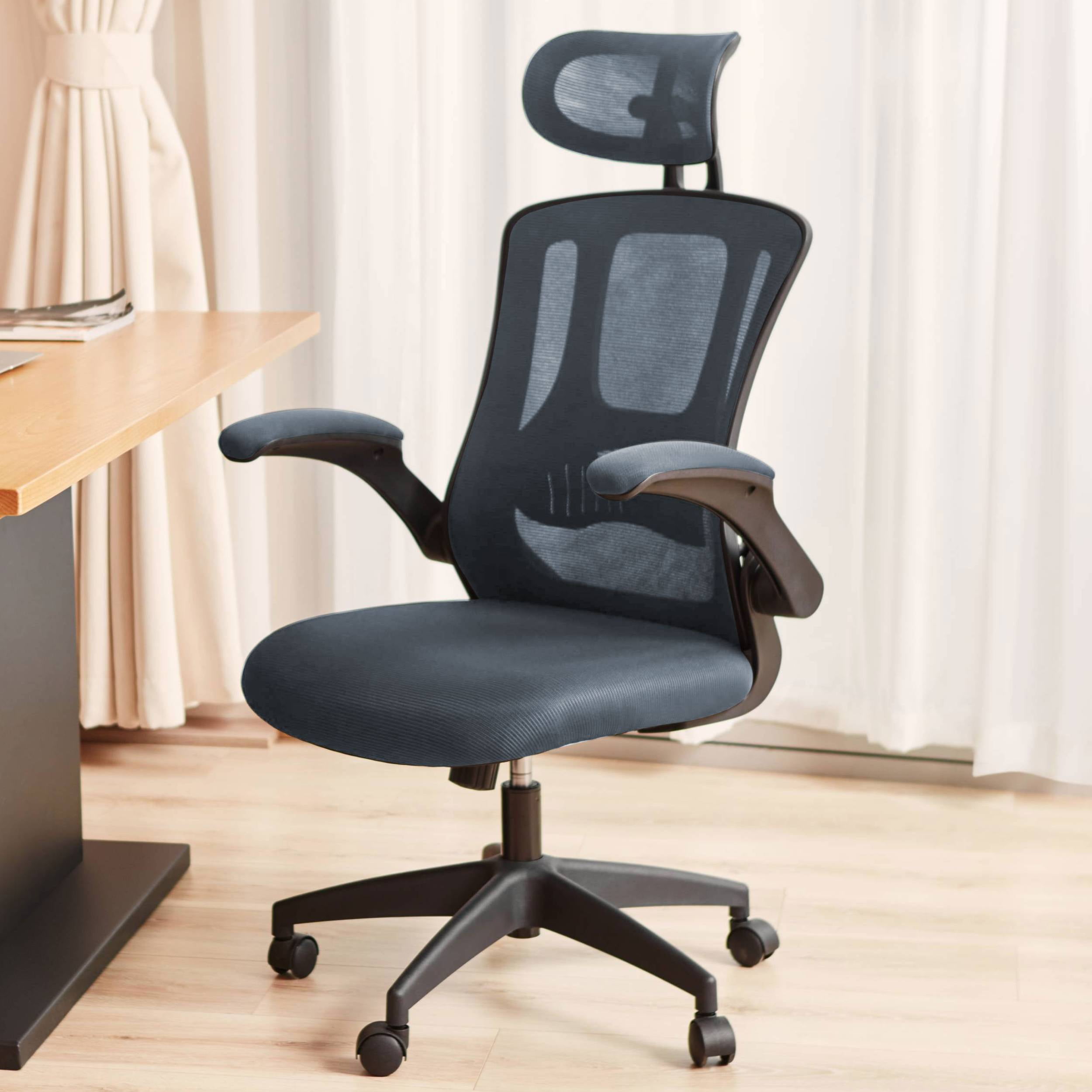 TrumanPick Ergonomic Office Chair with Lumbar Support, High Back Desk ...