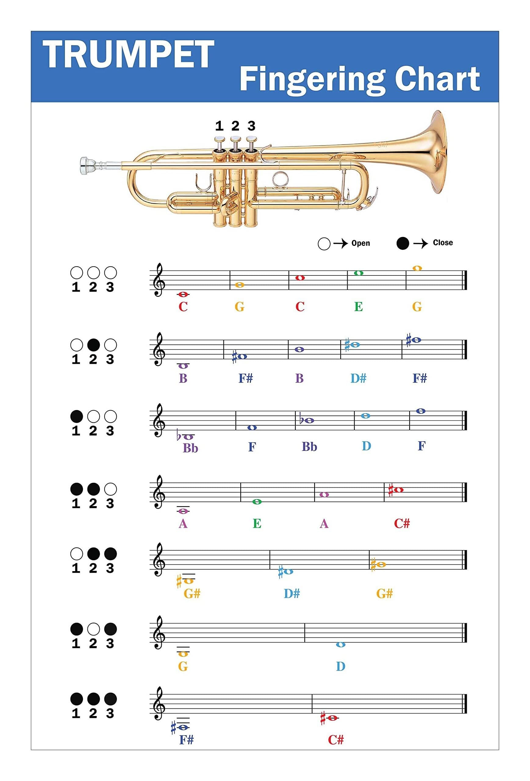 Trumpet Fingering Chart with Color-Coded Notes poster Learn Trumpet ...