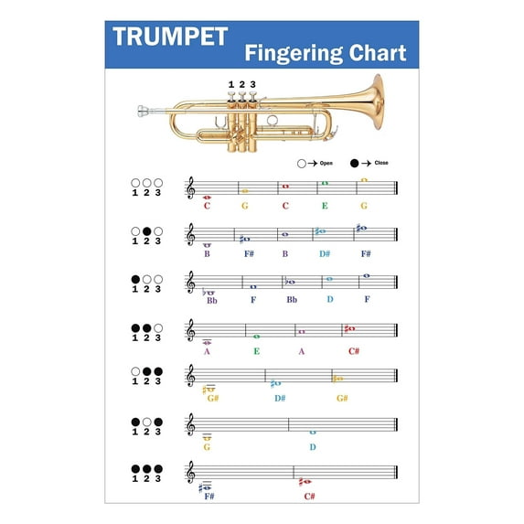 Trumpet Fingering Chart with Color-Coded Notes poster Learn Trumpet ...