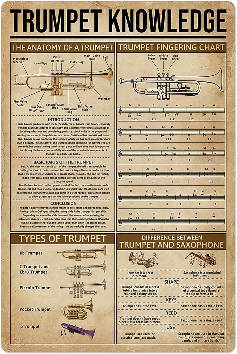 Trumpet Knowledge Metal Tin Sign Fingering Chart Anatomy Poster Musical ...