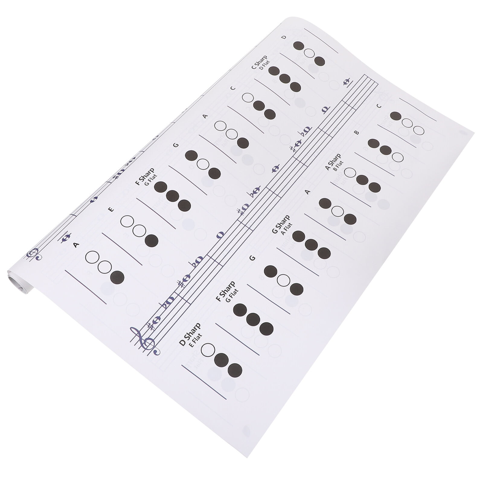 Trumpet Training Guide Practice Charts Clarinet Diagram Poster Ukulele ...