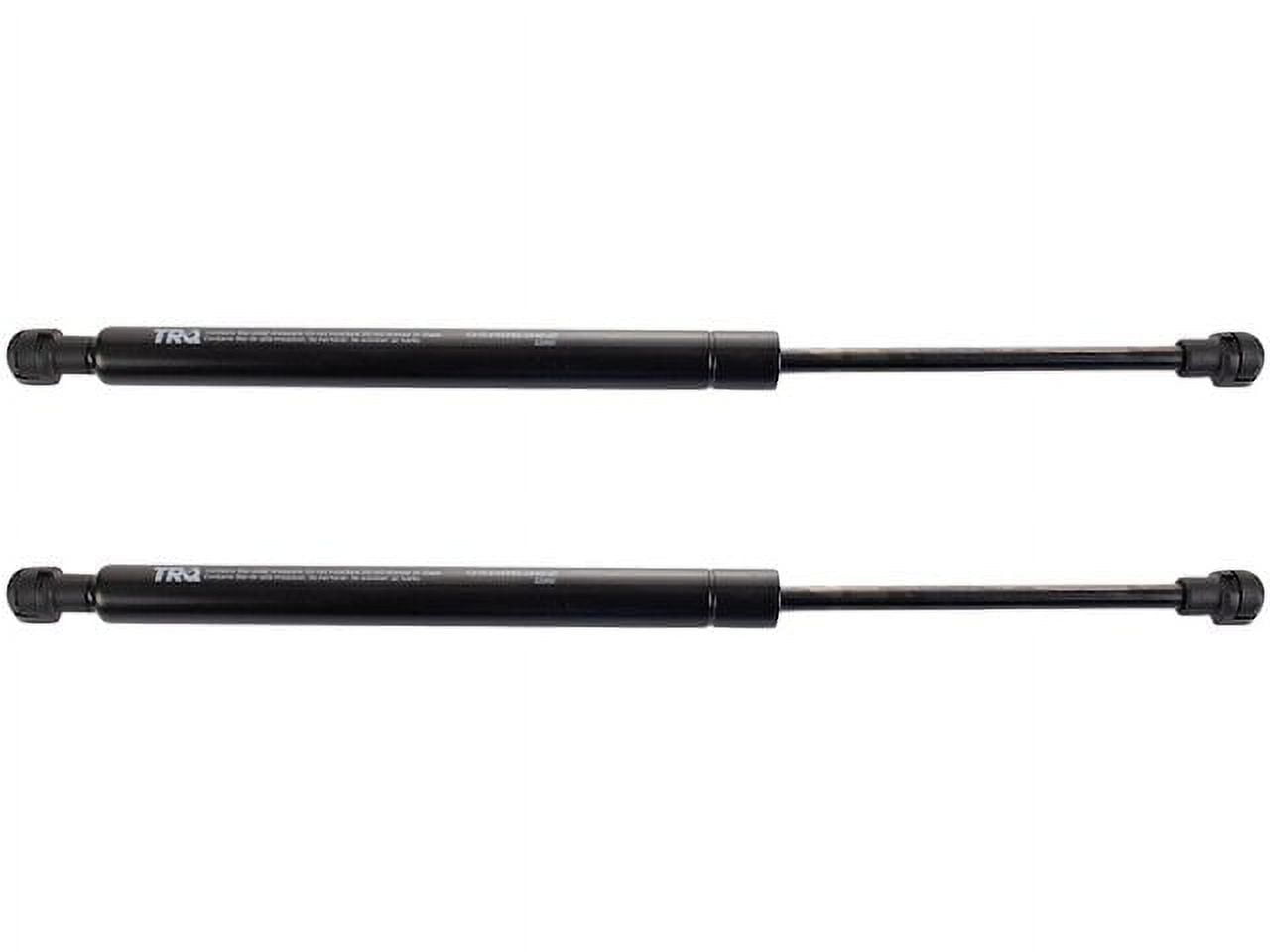 Trunk Lid Lift Support Kit 2 Piece - Compatible with 2001 - 2006 BMW M3 ...