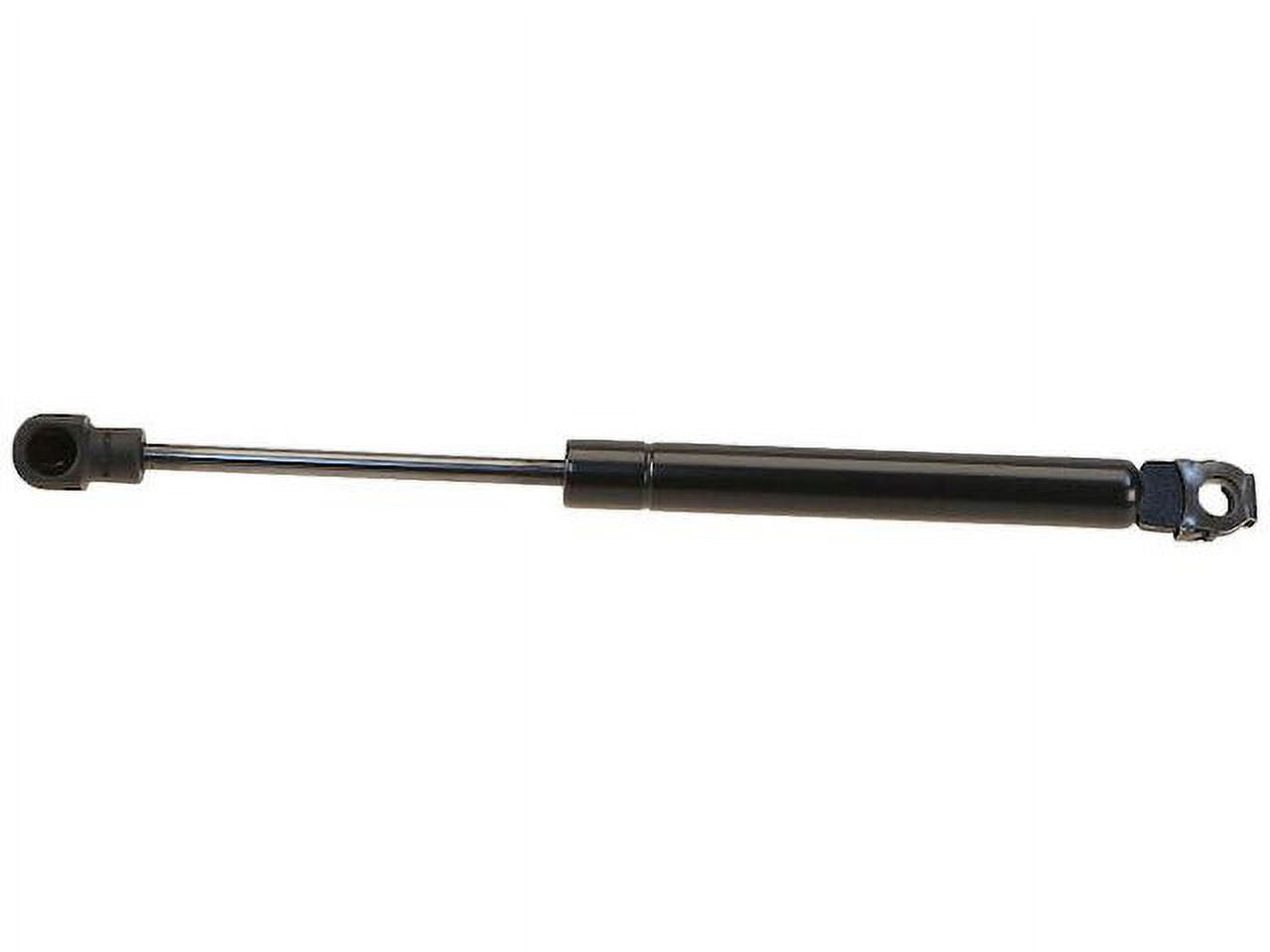 Trunk Strut - Compatible with 1995 - 2002 Mercedes-Benz SL500 ...