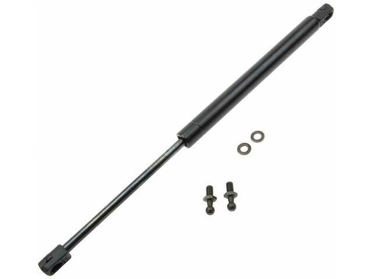 Trunk Strut - Compatible with 2002 - 2006 Acura RSX Coupe 2-Door 2003 ...