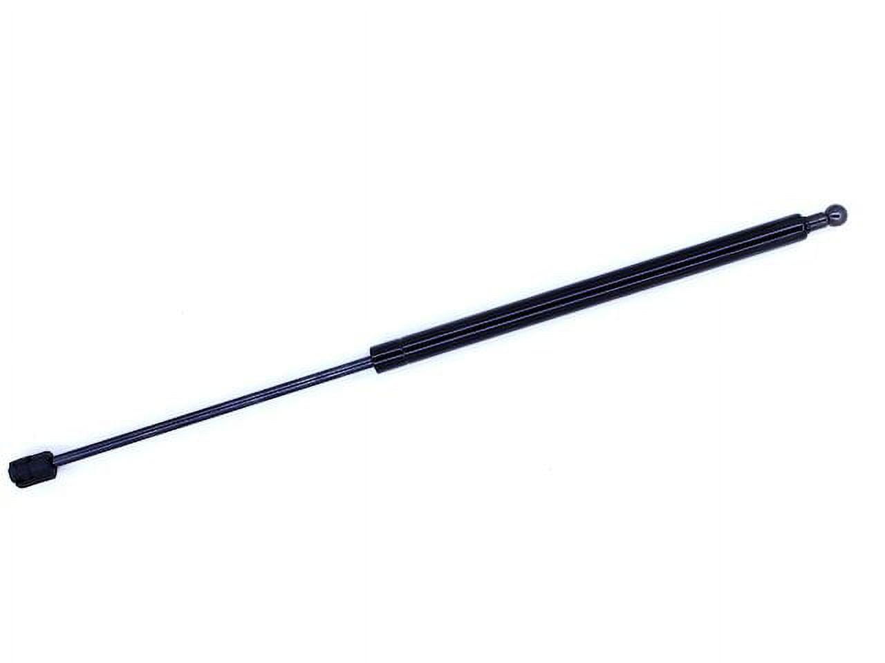 Trunk Strut - Compatible with 2003 - 2006 Hyundai Tiburon Coupe 2-Door ...