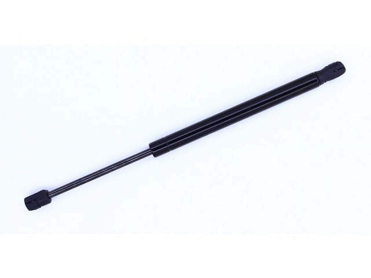 Trunk Strut - Compatible with 2015 - 2022 Ford Mustang 2016 2017 2018 ...