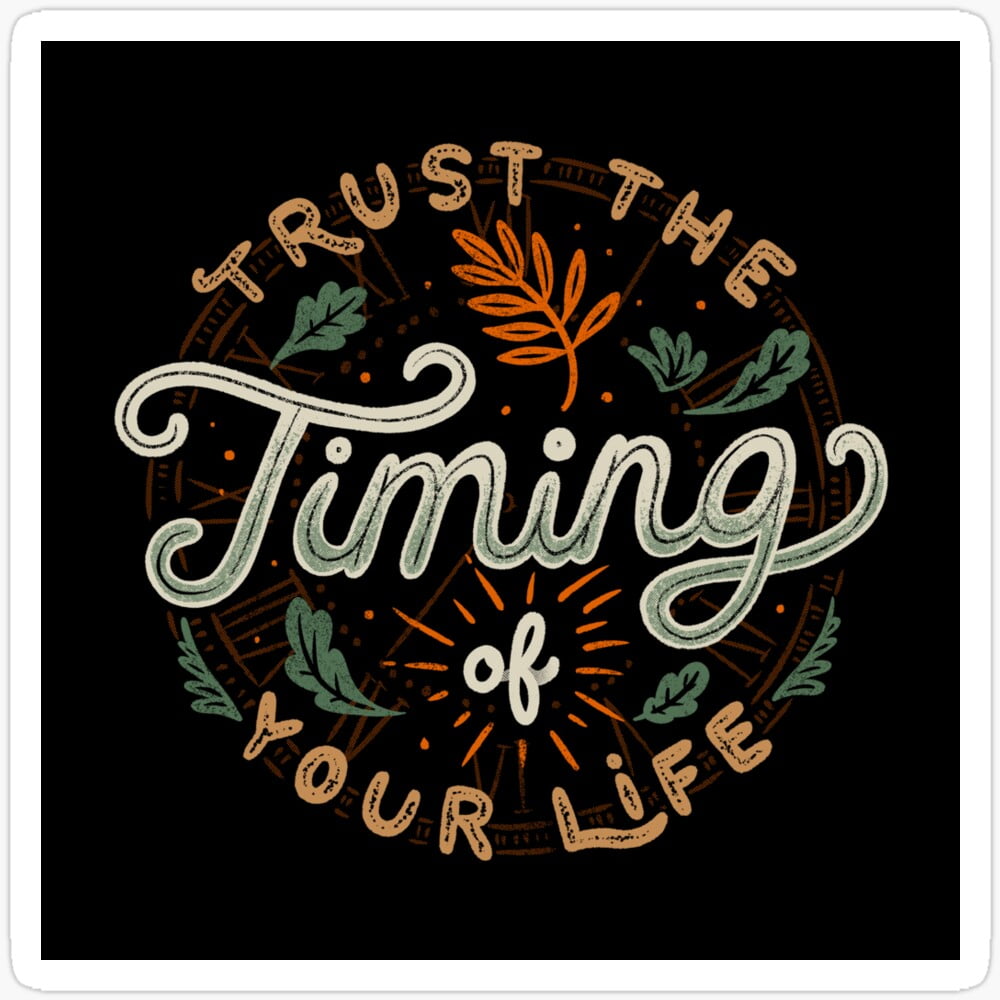 Trust The Timing Of You Life Sticker Phone Decal Water Bottle Stickers ...