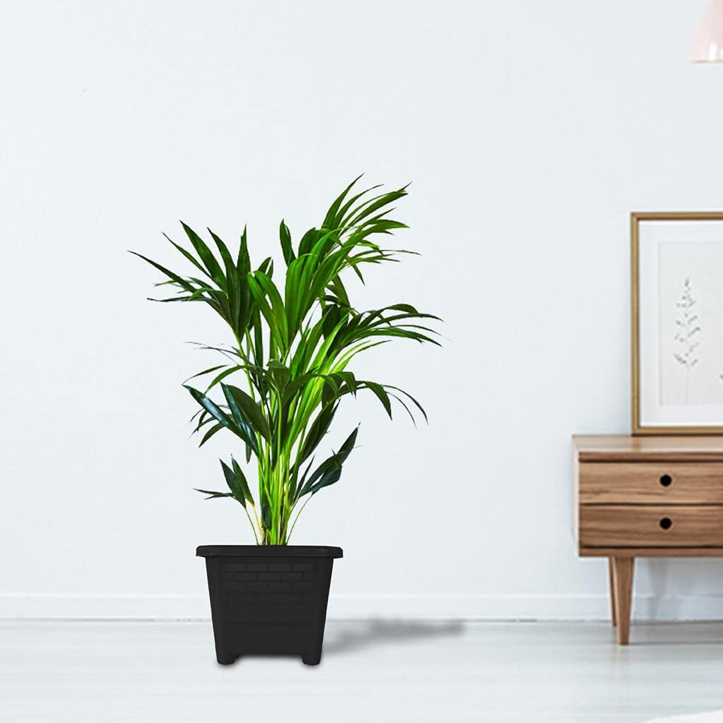 Trustbasket Earthbox-8 Square Plastic Planter Black (Set Of 3) Heavy ...