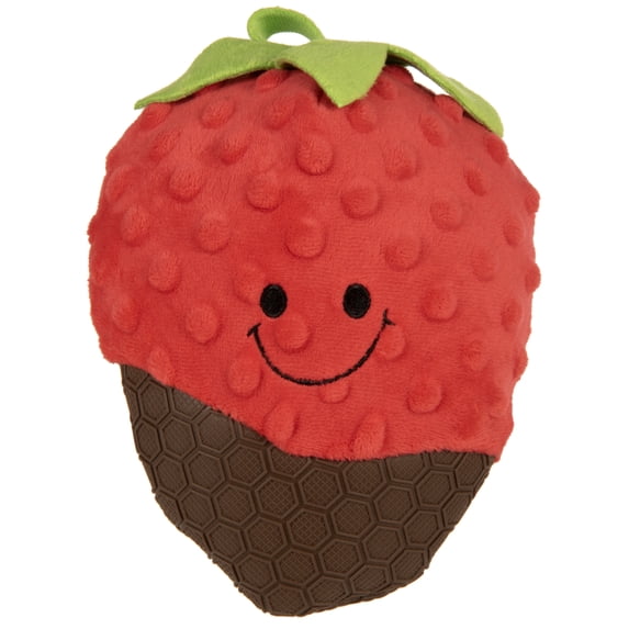 TrustyPup Durable Cocoa Berry Large Dog Toy with Squeaker, TPR Plush ...