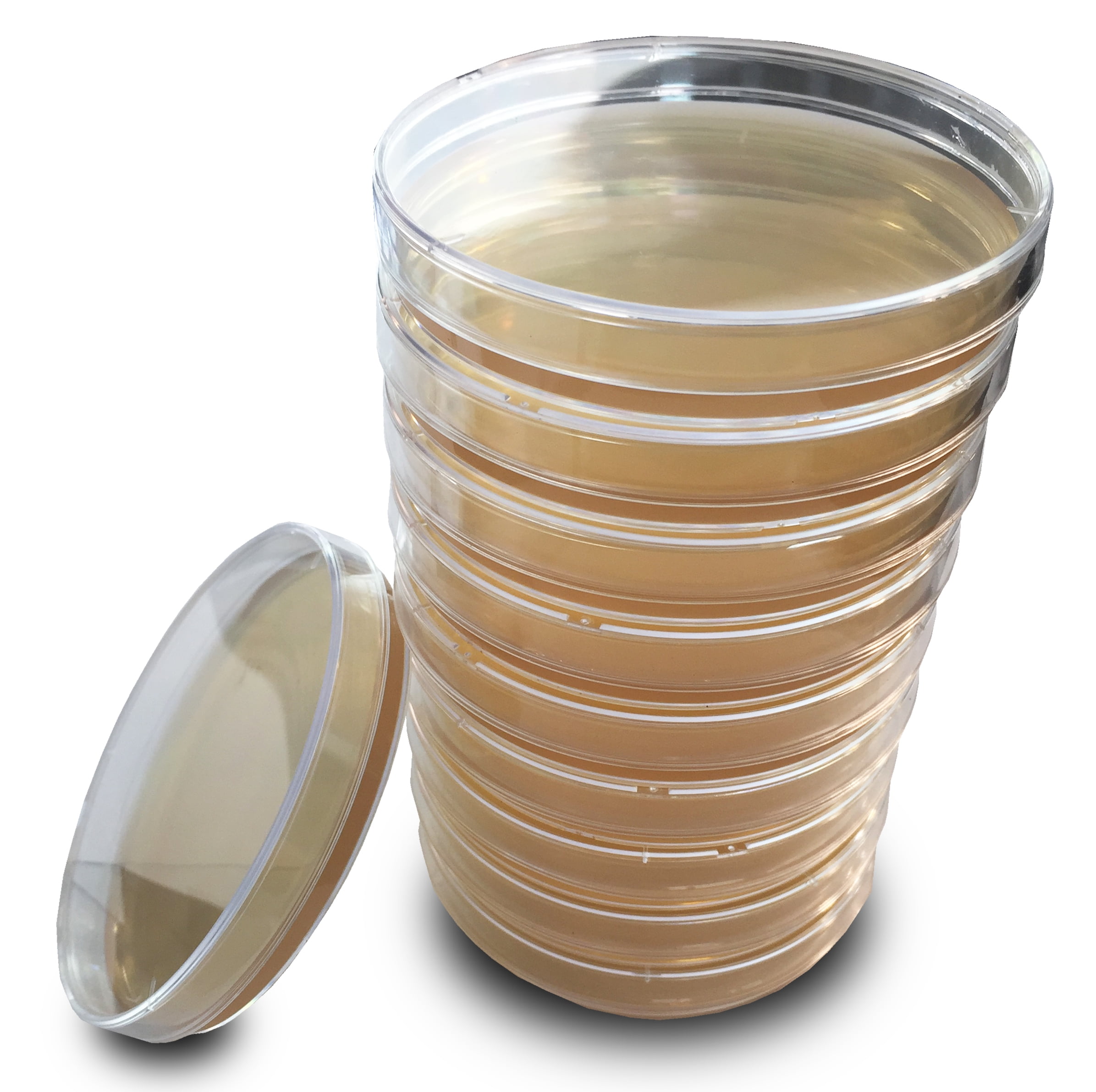 Tryptic Soy Agar (TSA) Plates by Evviva Sciences - Prepoured TSA Petri ...