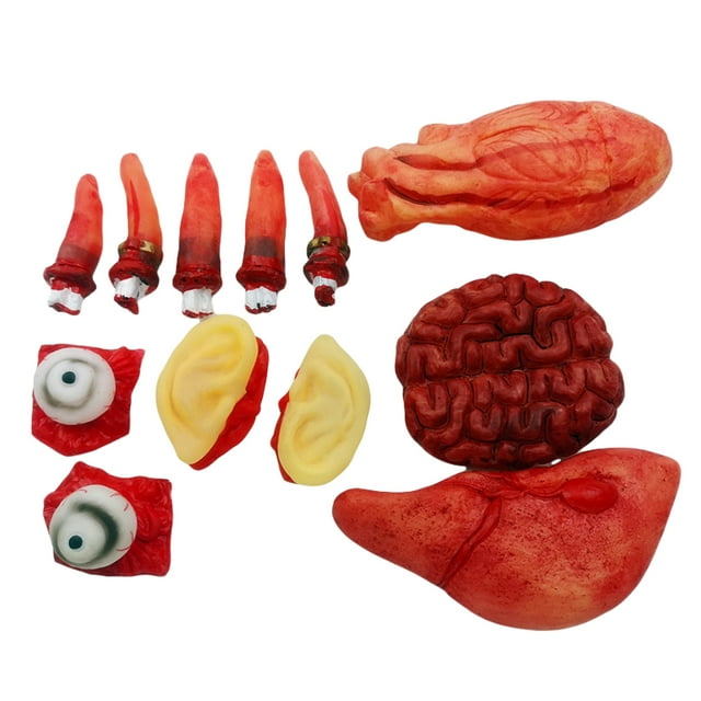 Tsseiatte Halloween Scary Human Organ Props Bloody Realistic Body Parts ...