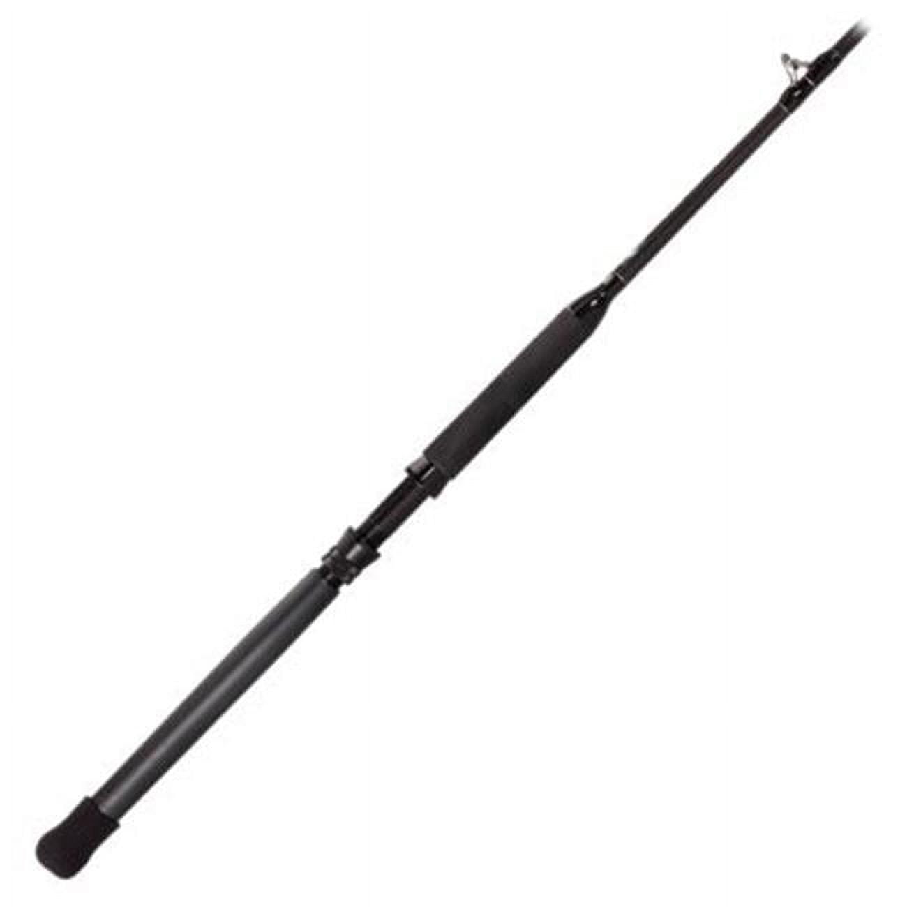 Tsunami TSTBC-661HW Trophy Wire Line Bunker Spoon Casting Trolling Rod ...