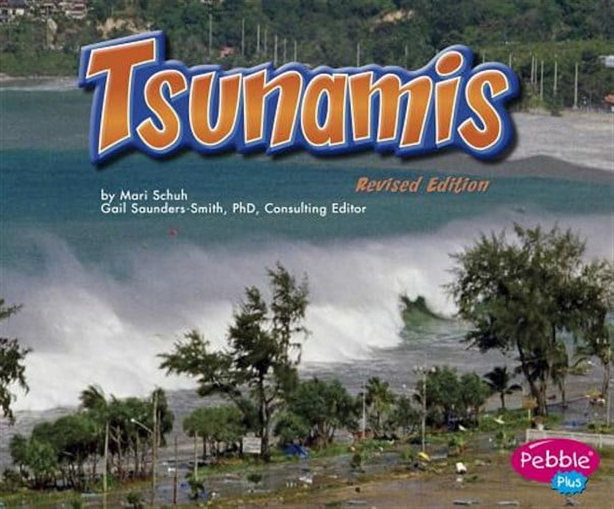 Tsunamis - Walmart.com
