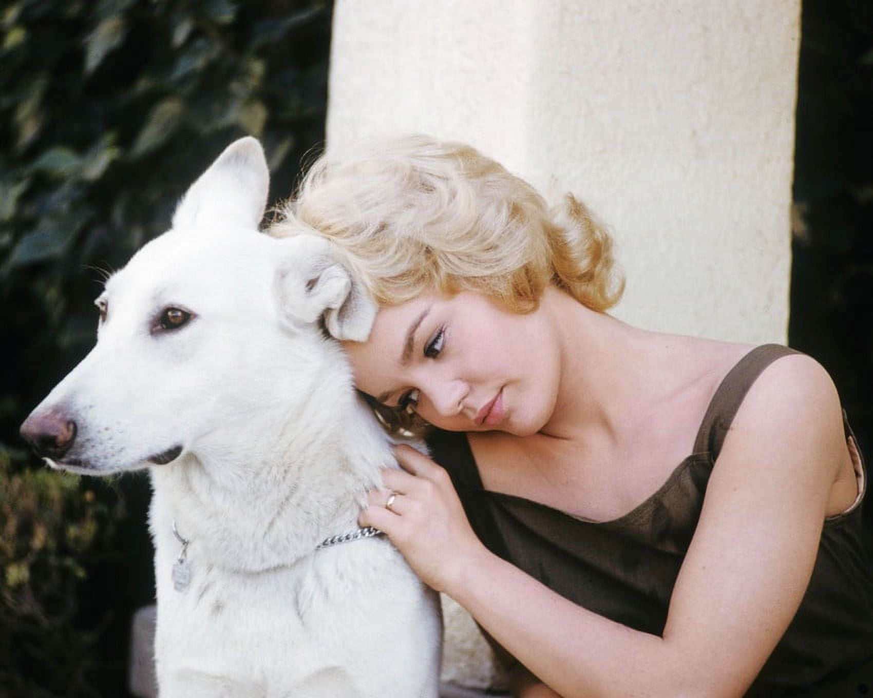 Tuesday Weld 24X36 Classic Hollywood Poster Hugging Her Pet Dog ...