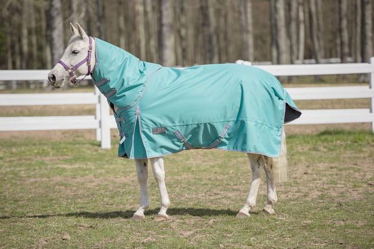 TuffRider 1200 D Comfy Winter Medium Weight Turnout Blanket w ...