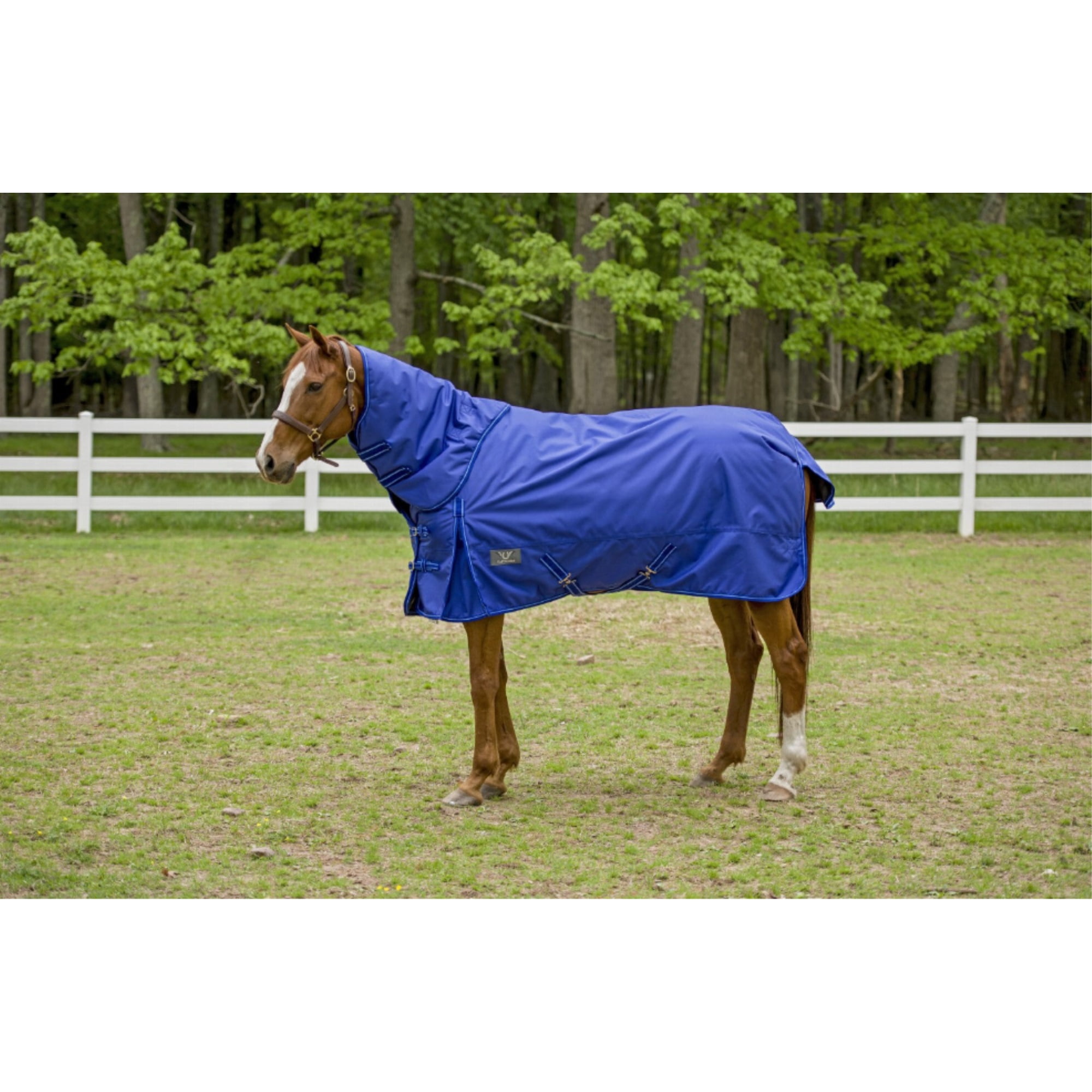 TuffRider 1680 D Super Comfy Detachable Neck Blanket - Walmart.com