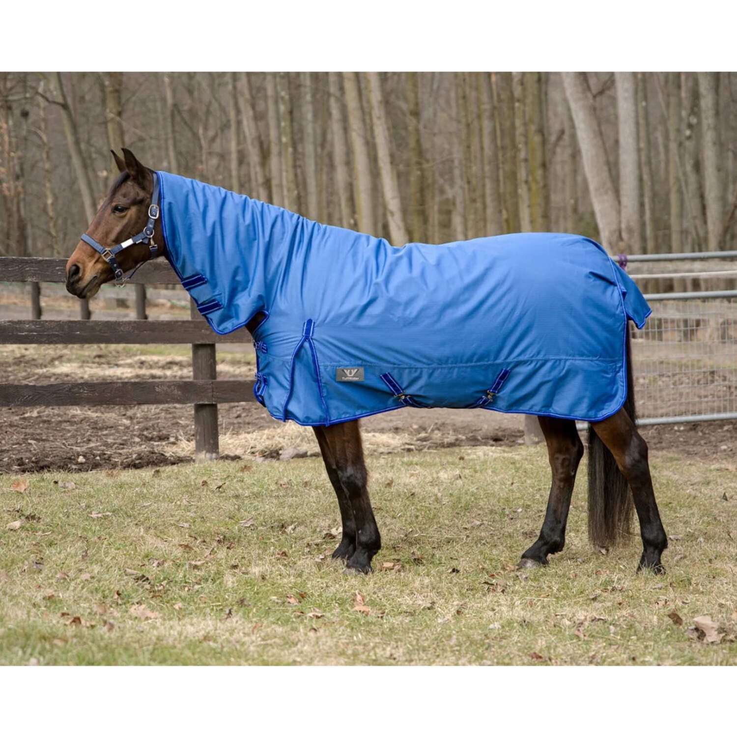 TuffRider 600 D Comfy Winter Medium Weight Turnout Blanket w/ Combo ...