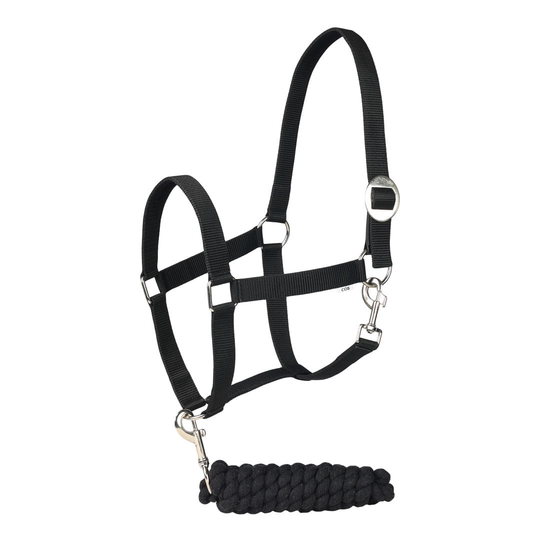 TuffRider Halter And Lead Rope Set With Breakaway Leather -Black-Cob ...