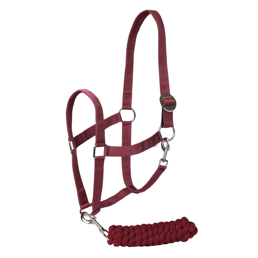 TuffRider Halter And Lead Rope Set With Breakaway Leather-Burgundy ...