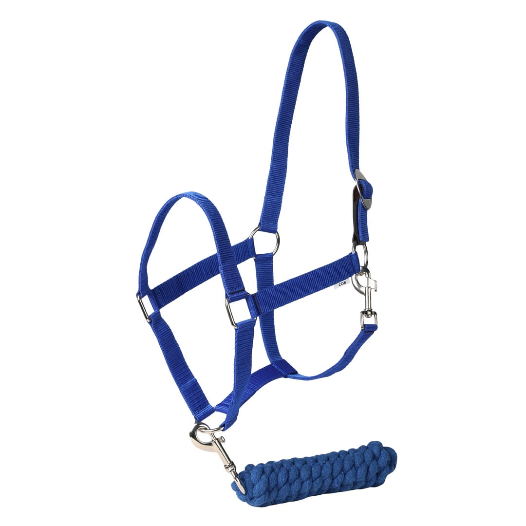 TuffRider Halter And Lead Rope Set With Breakaway Leather-Royal Blue ...