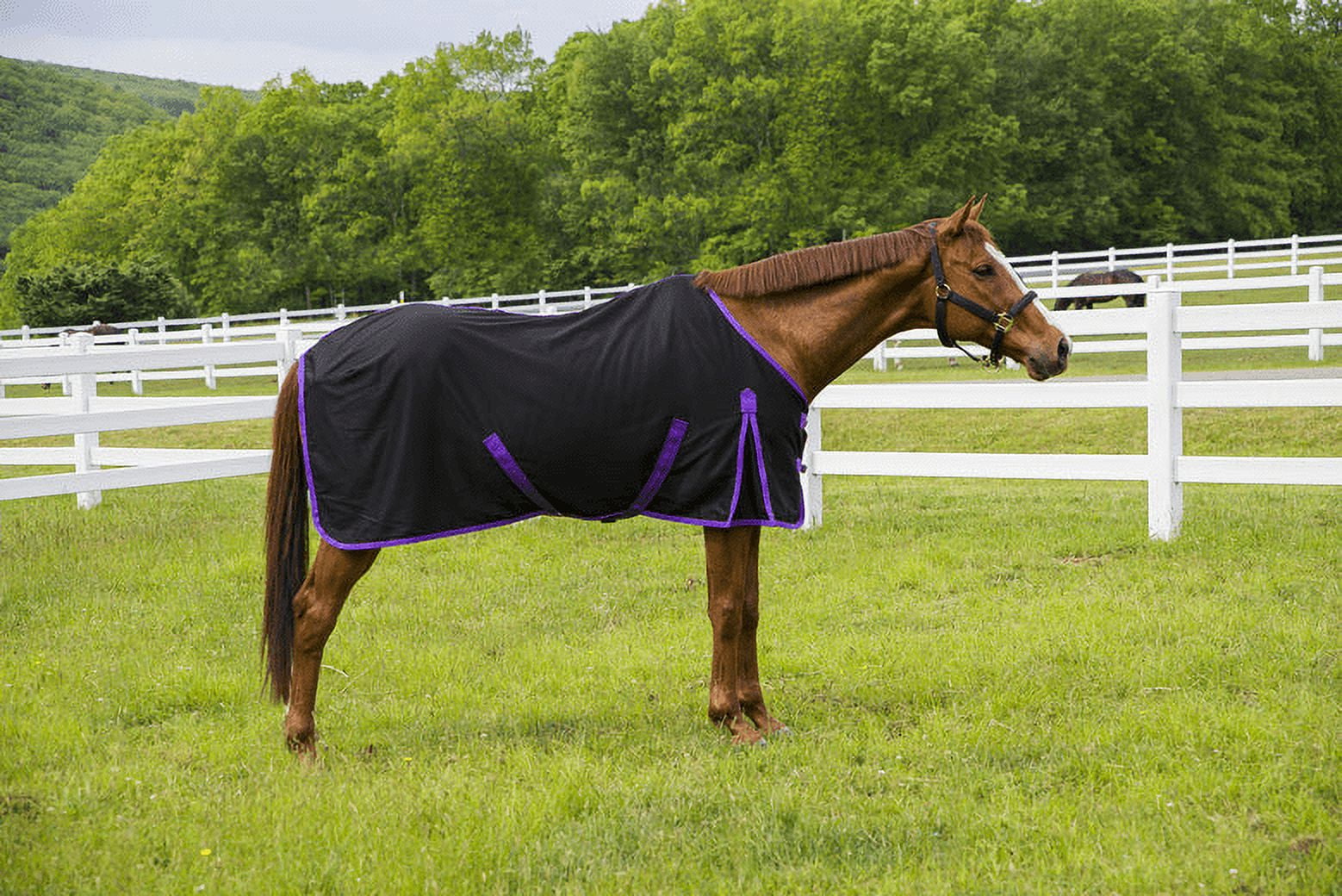 TuffRider Kozy Komfort Stable Sheet 72 Black - Walmart.com