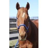 Nylon Horse Halter Nylon Padded Lead Rope Tack Purple Bling Rodeo ...