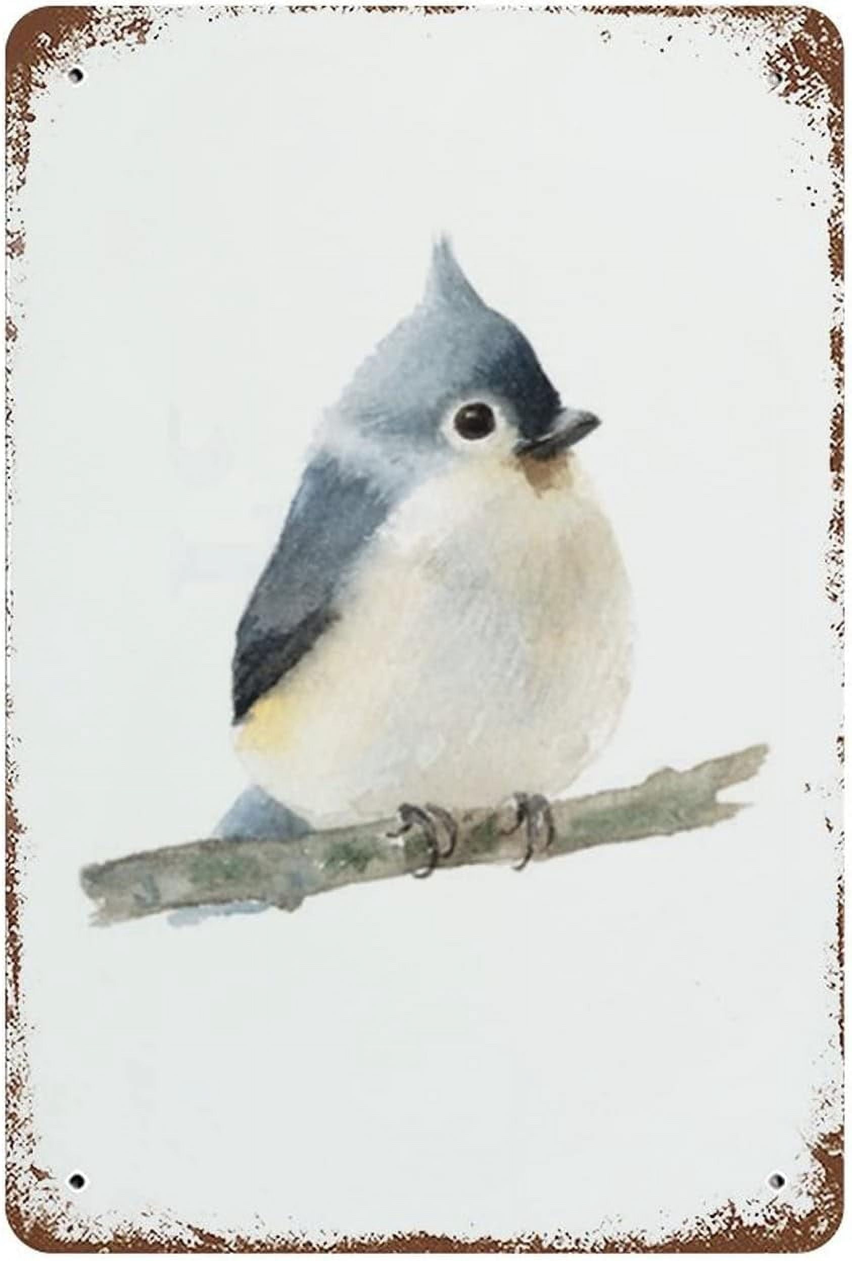 Tufted Titmouse Bird Vintage Metal Plaque Sign Retro Poster Vintage ...