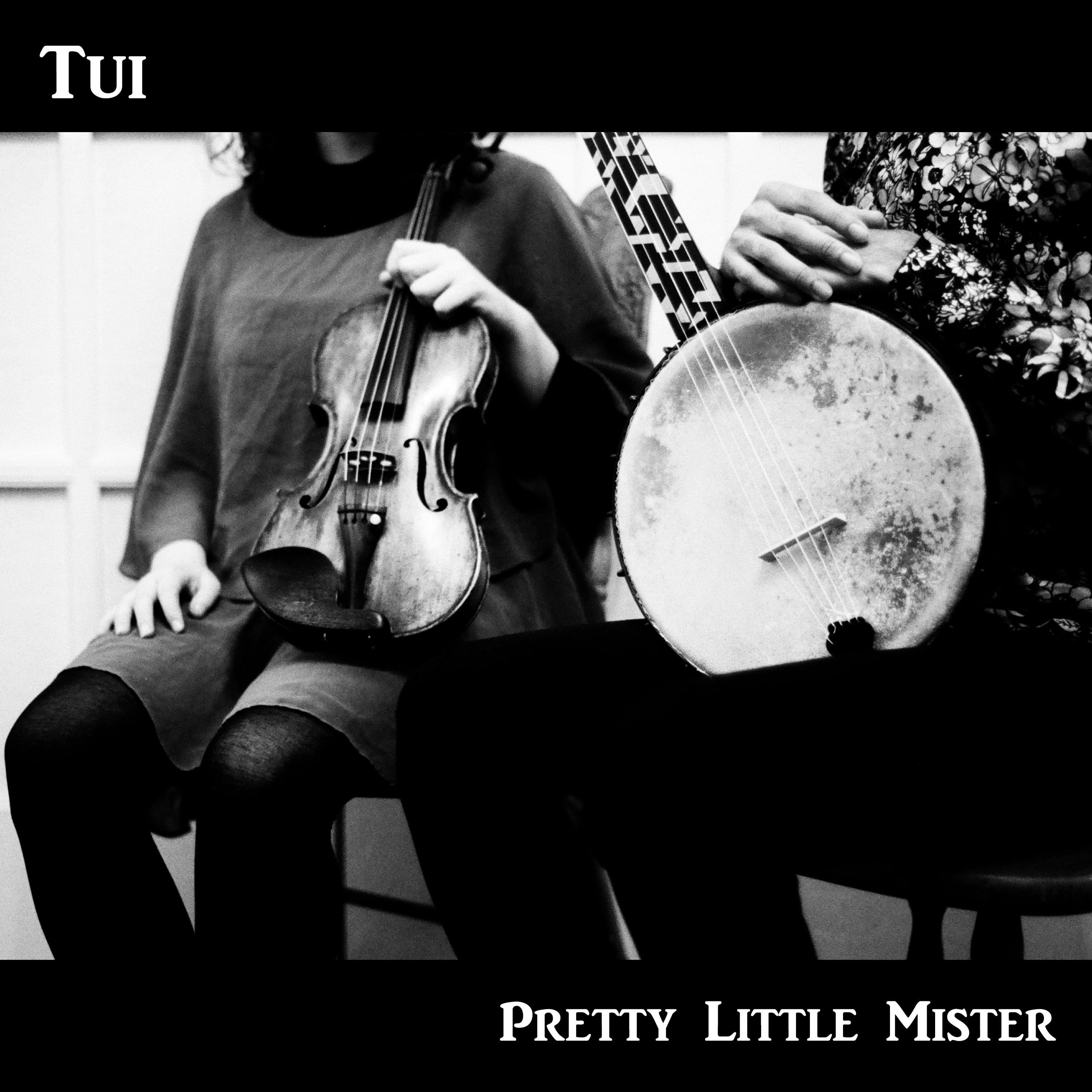 Tui - Pretty Little Mister - Music & Performance - CD - Walmart.com