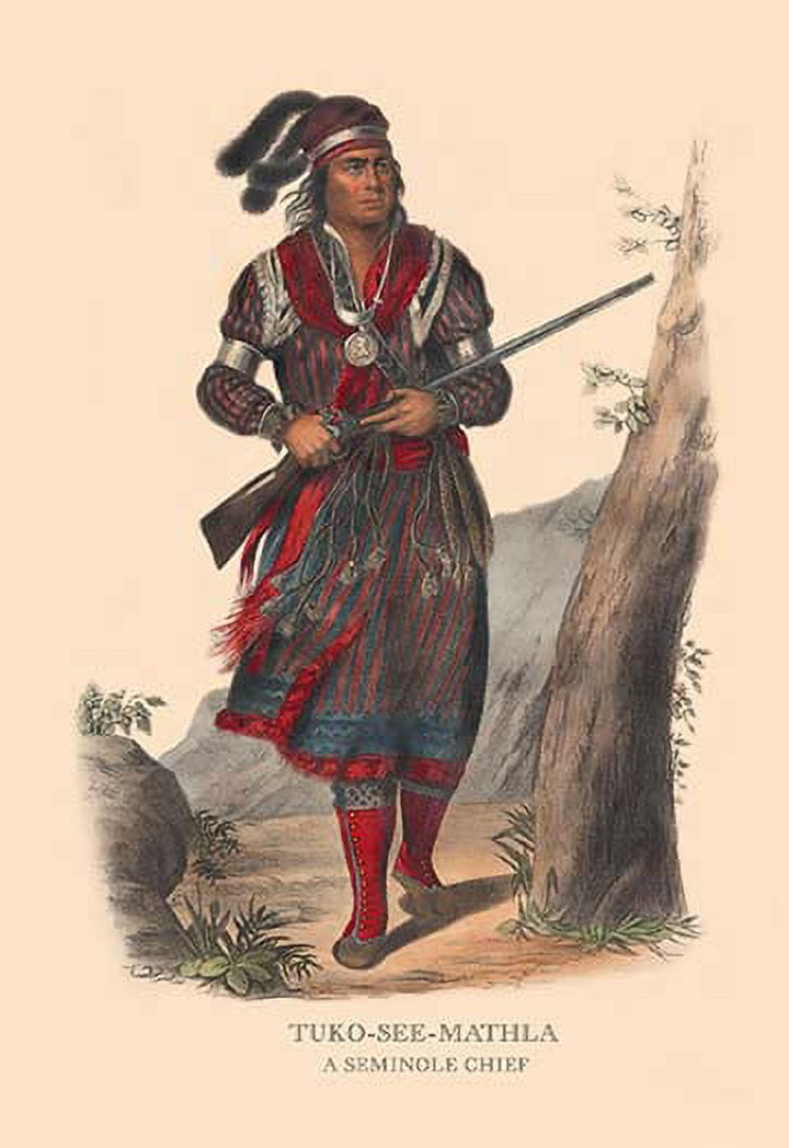 Tuko-See-Mathla (A Seminole Chief) Fine art canvas print (20" x 30 ...