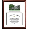 Tulane University 14" x 17" Scholar Diploma Frame - Walmart.com