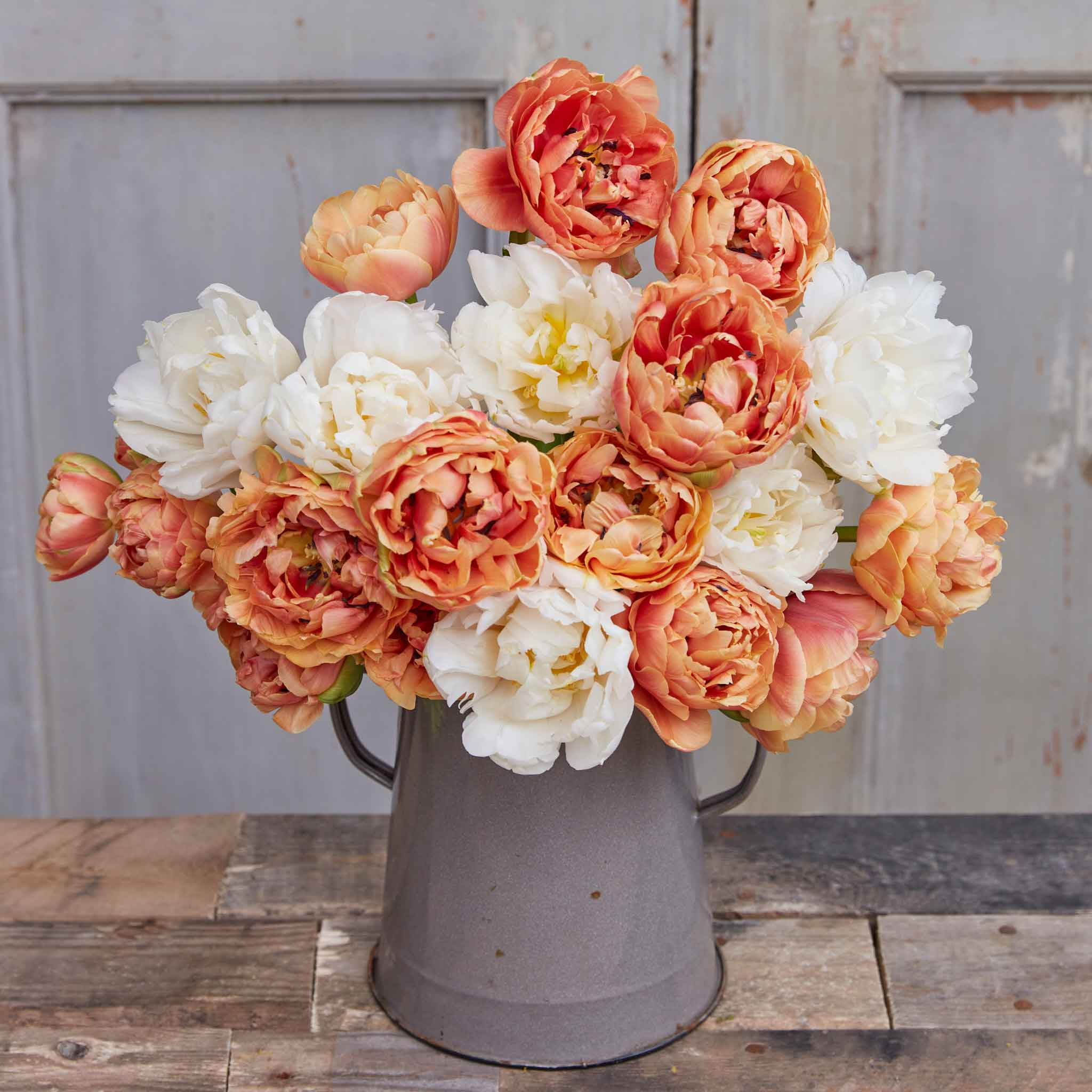 Tulip Bulbs - Butterscotch Mix - 100 Bulbs - Mixed Flower Bulbs, Bulb ...