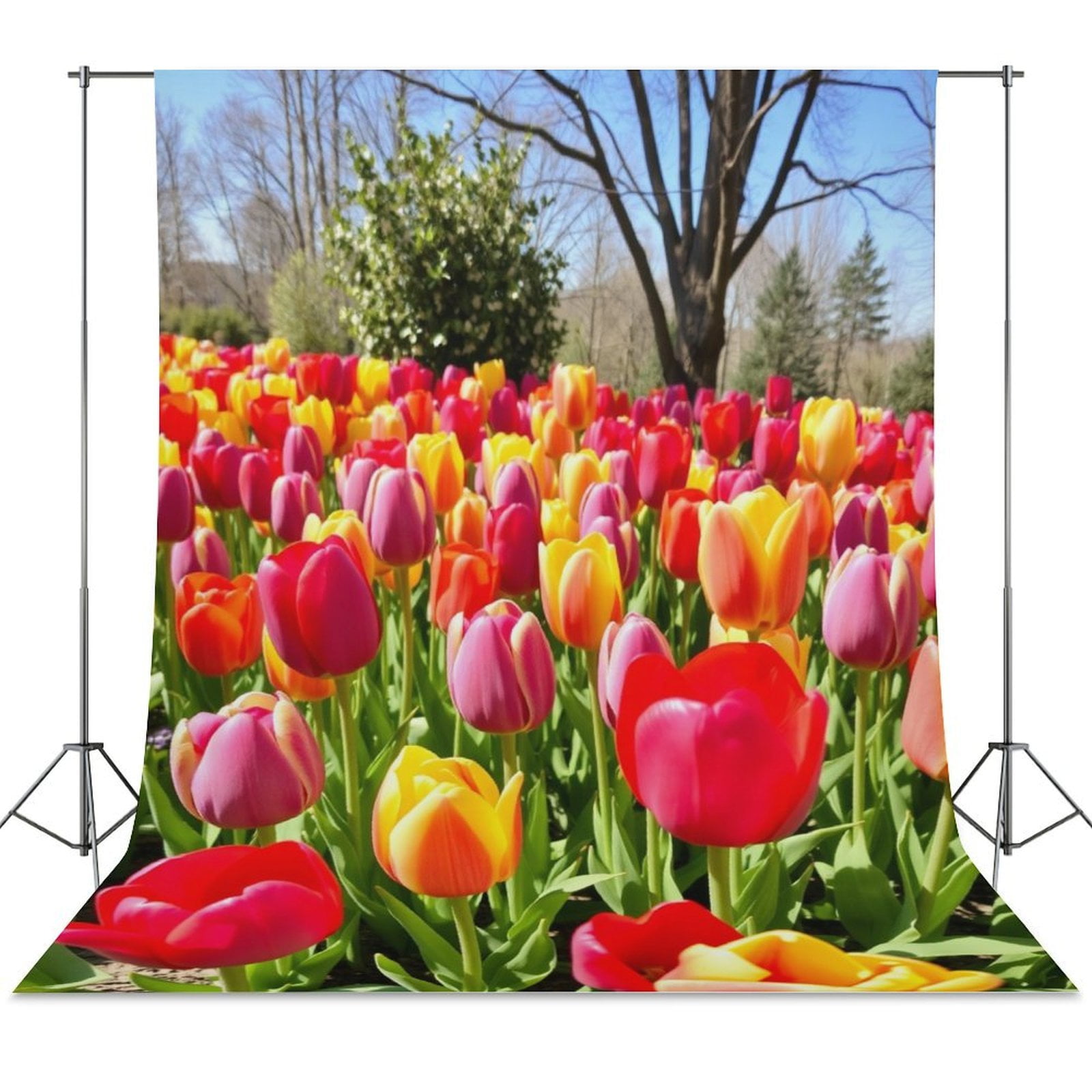 Tulip Decorations BackdropPortrait Photography Background Photozone ...