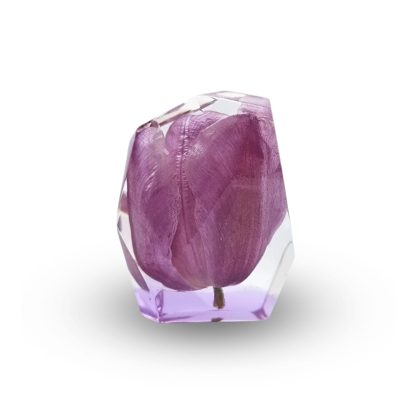 Tulip Preserved in Resin | Eternal Tulip | Real Tulip Resin Art ...