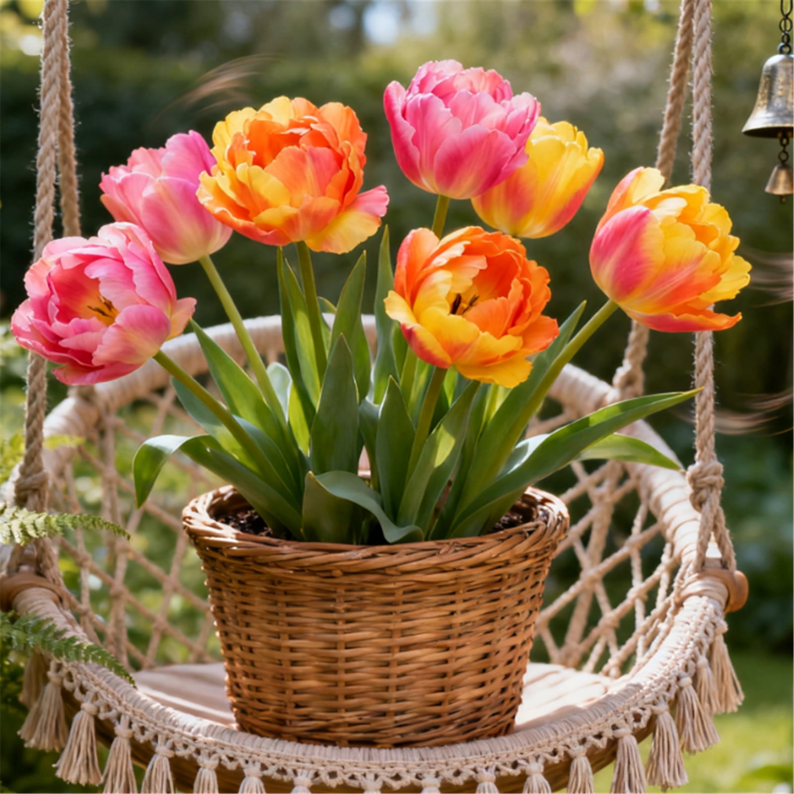 Tulip/Professional Planting for Stunning Garden Displays/ Simple to ...