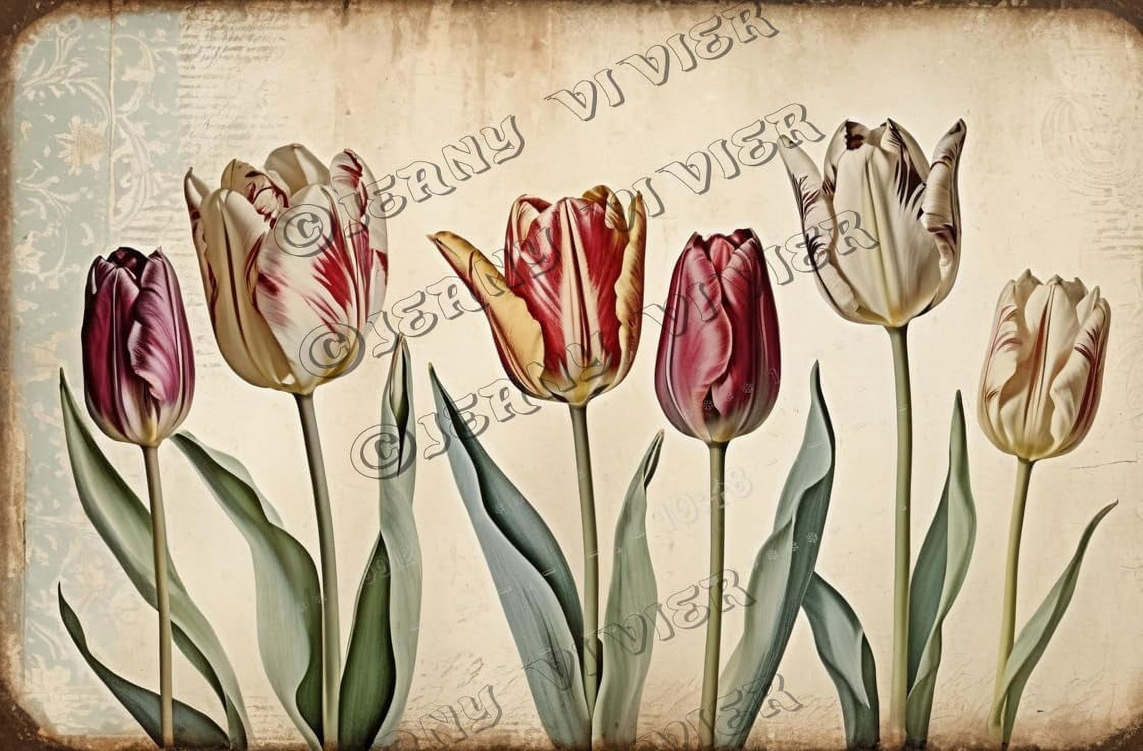 Tulip Retro Aluminum Sign 12"x16" Metal Sign Tulip Flower Pictures Wall ...