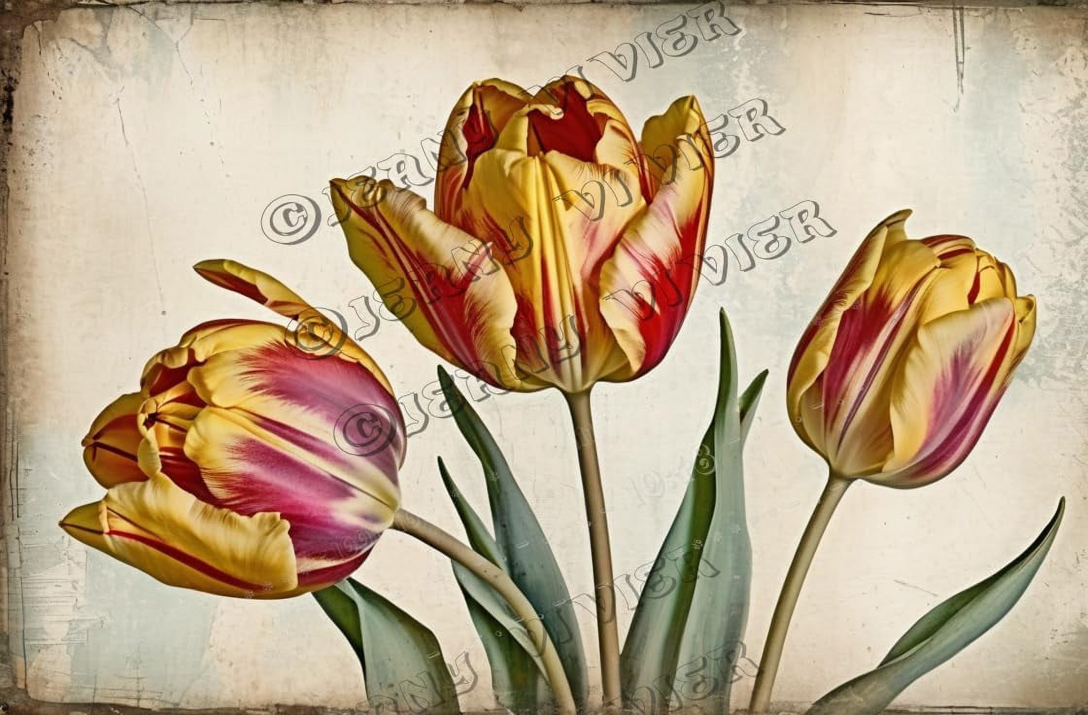 Tulip Retro Aluminum Sign 5.5"x8" Metal Sign Tulip Flower Wall Poster ...