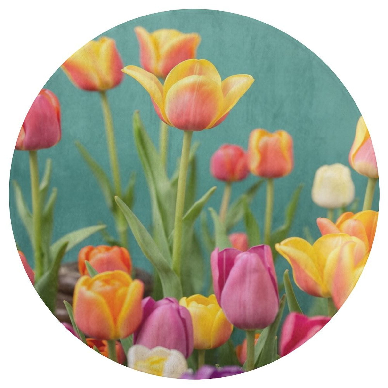 Tulip Round Area Rug Floor Carpets Washable Indoor Floor Area Mat Stain ...