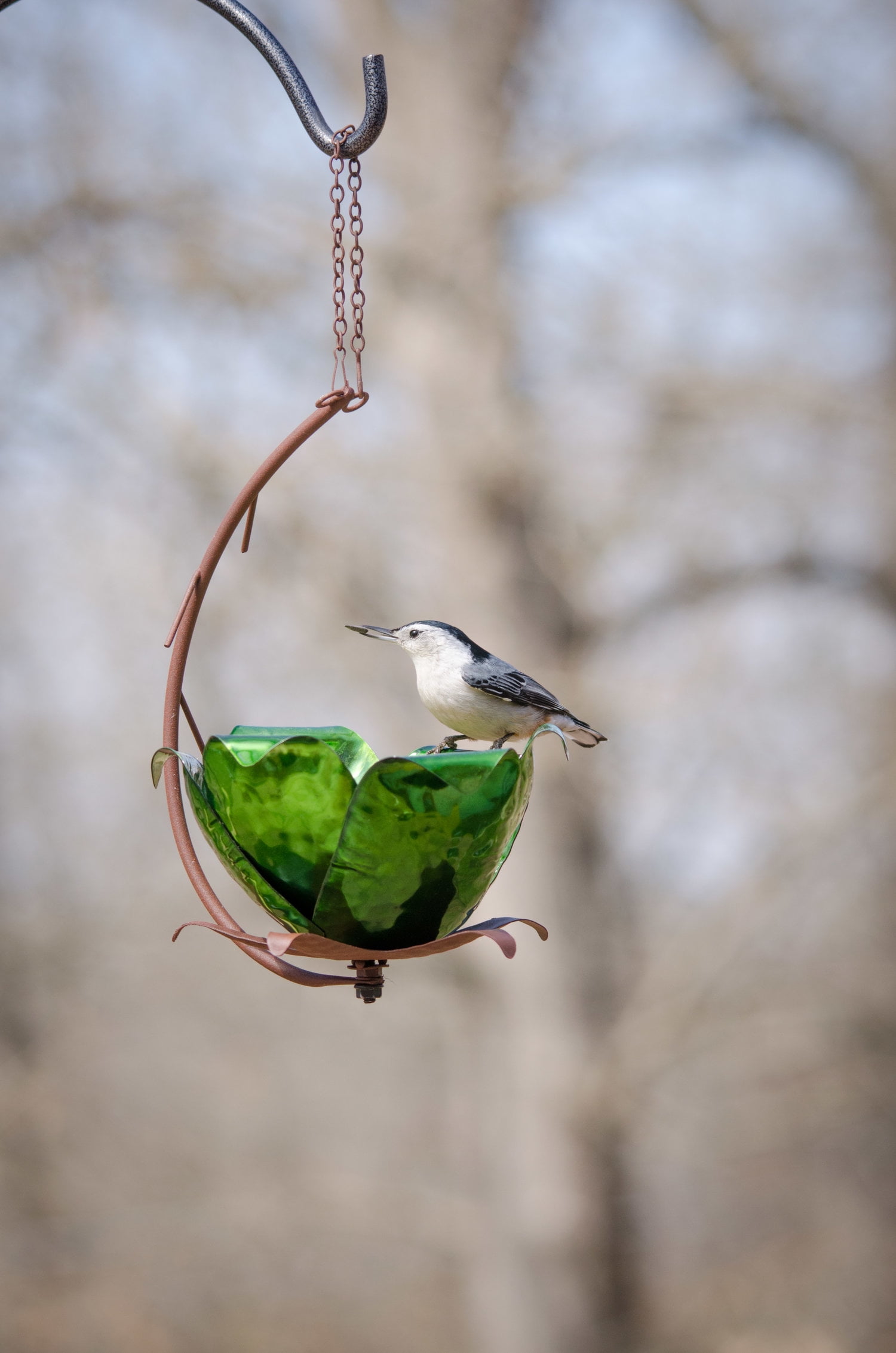 Tulip Tree Feeder - Walmart.com