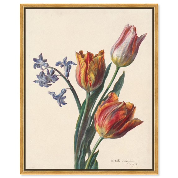 Tulips 1892 Canvas Vintage Botanical by Art Remedy, Gold Frame, 20 x 24 ...