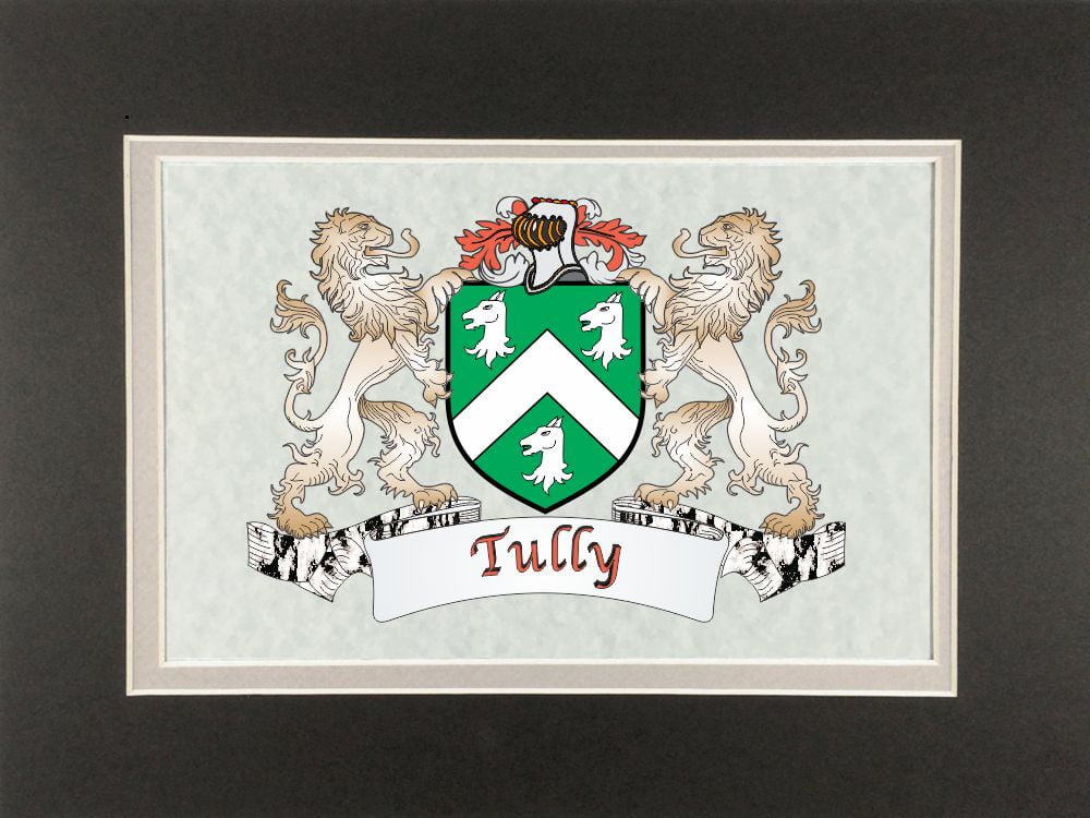 Tully Irish Coat of Arms Print - Frameable 9" x 12" - Walmart.com