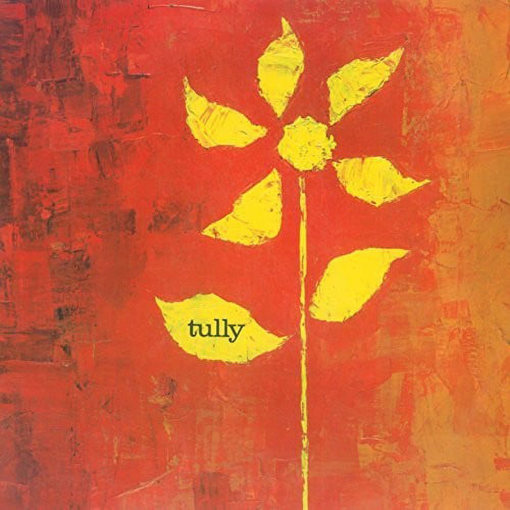 Tully - Tully - Music & Performance - Vinyl - Walmart.com