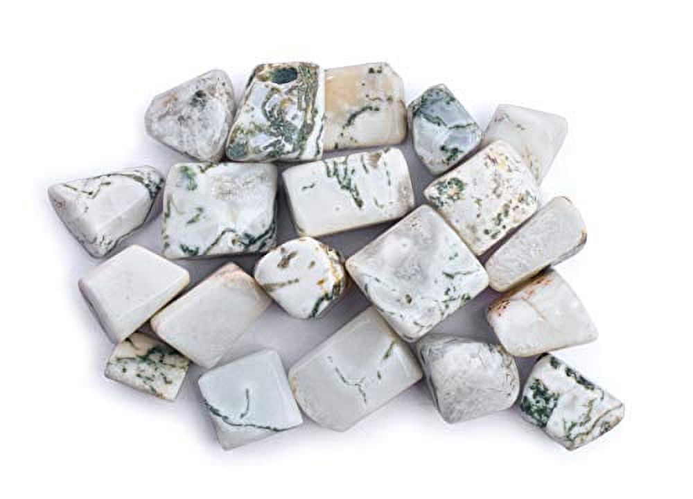 Tumbled/Tumble Tree Agate 3 Pieces Natural Healing Crystal Chakra ...