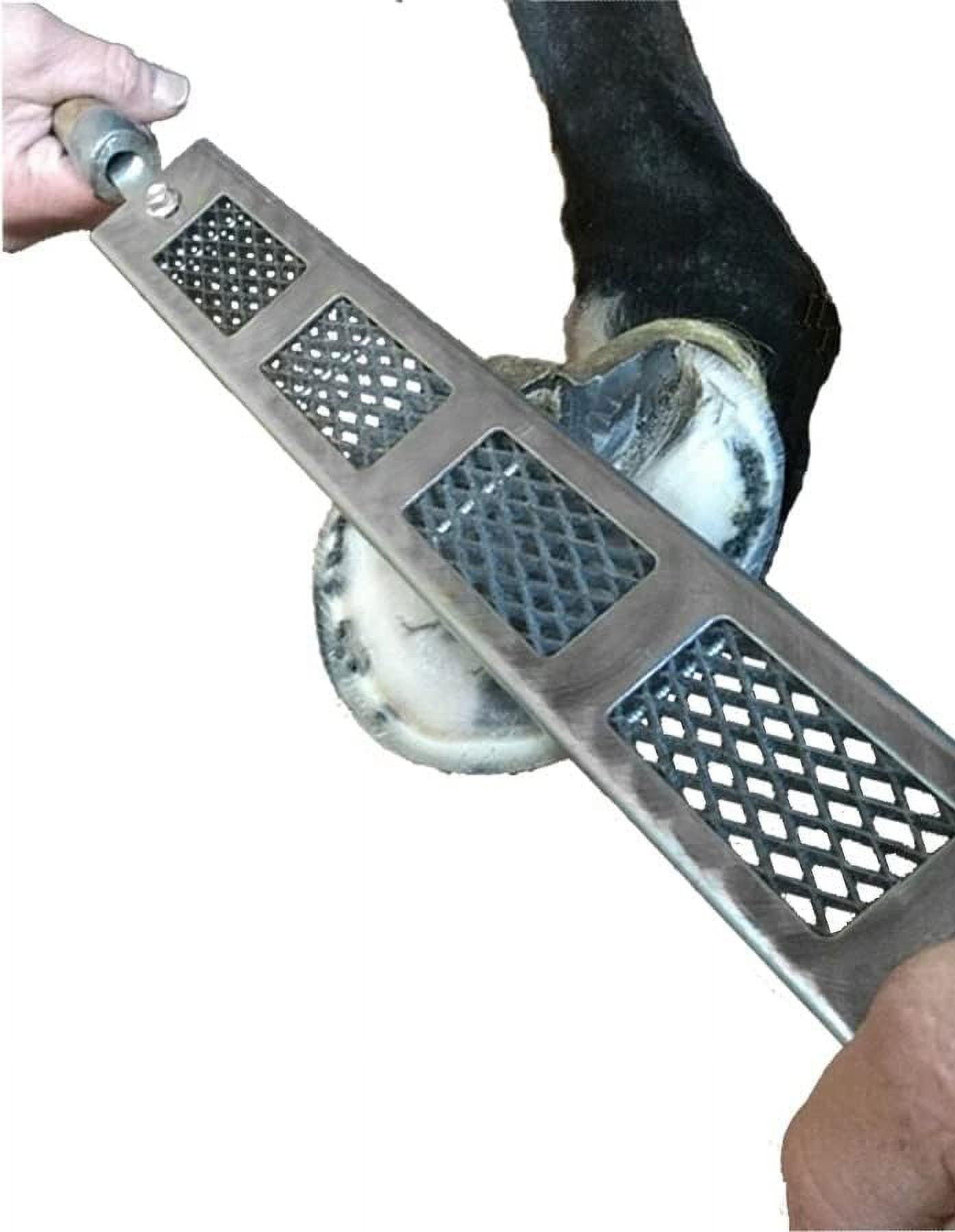 Tumis Dymondback Rasp - Best File for Trimming A Horse hoof - Choose ...